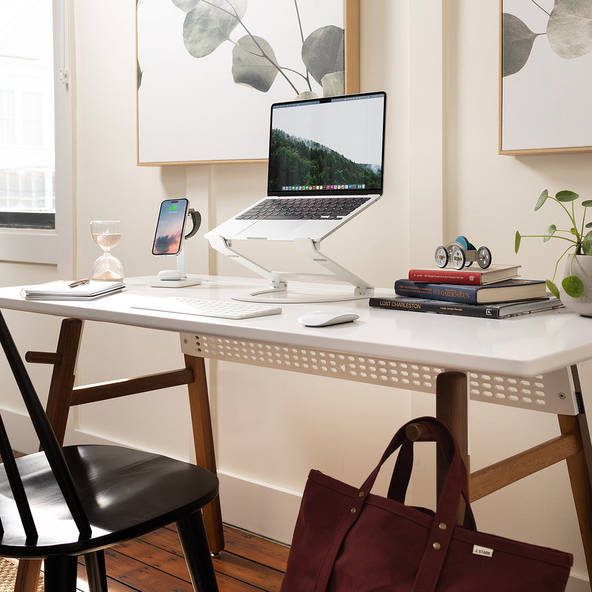 Twelve South Collection – ARTIFOX